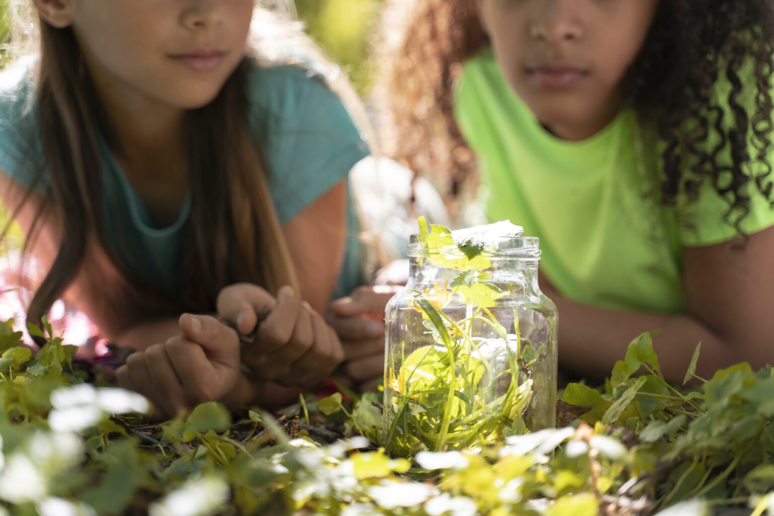 Eco-Friendly Kid Activities: Teaching Sustainability to Children ...